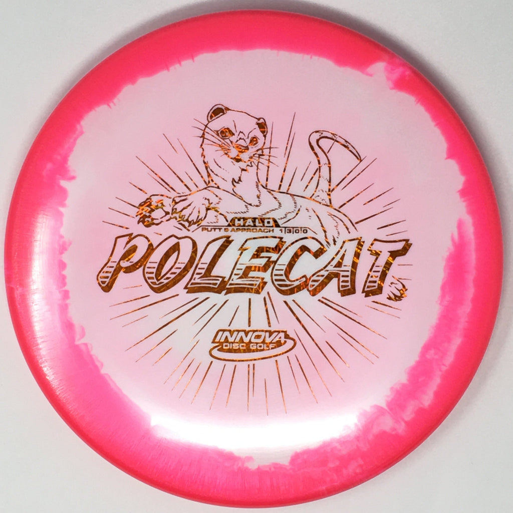 Innova - Polecat (Halo Star) - Putt & Approach – Disc Republic