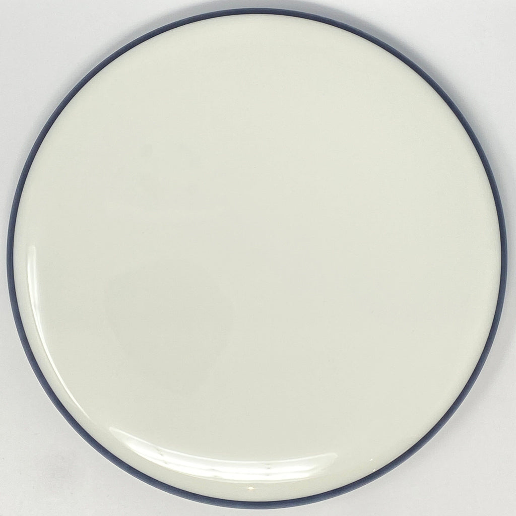 MVP - Glitch (Neutron Soft, Blank Canvas) - Putt & Approach – Disc Republic